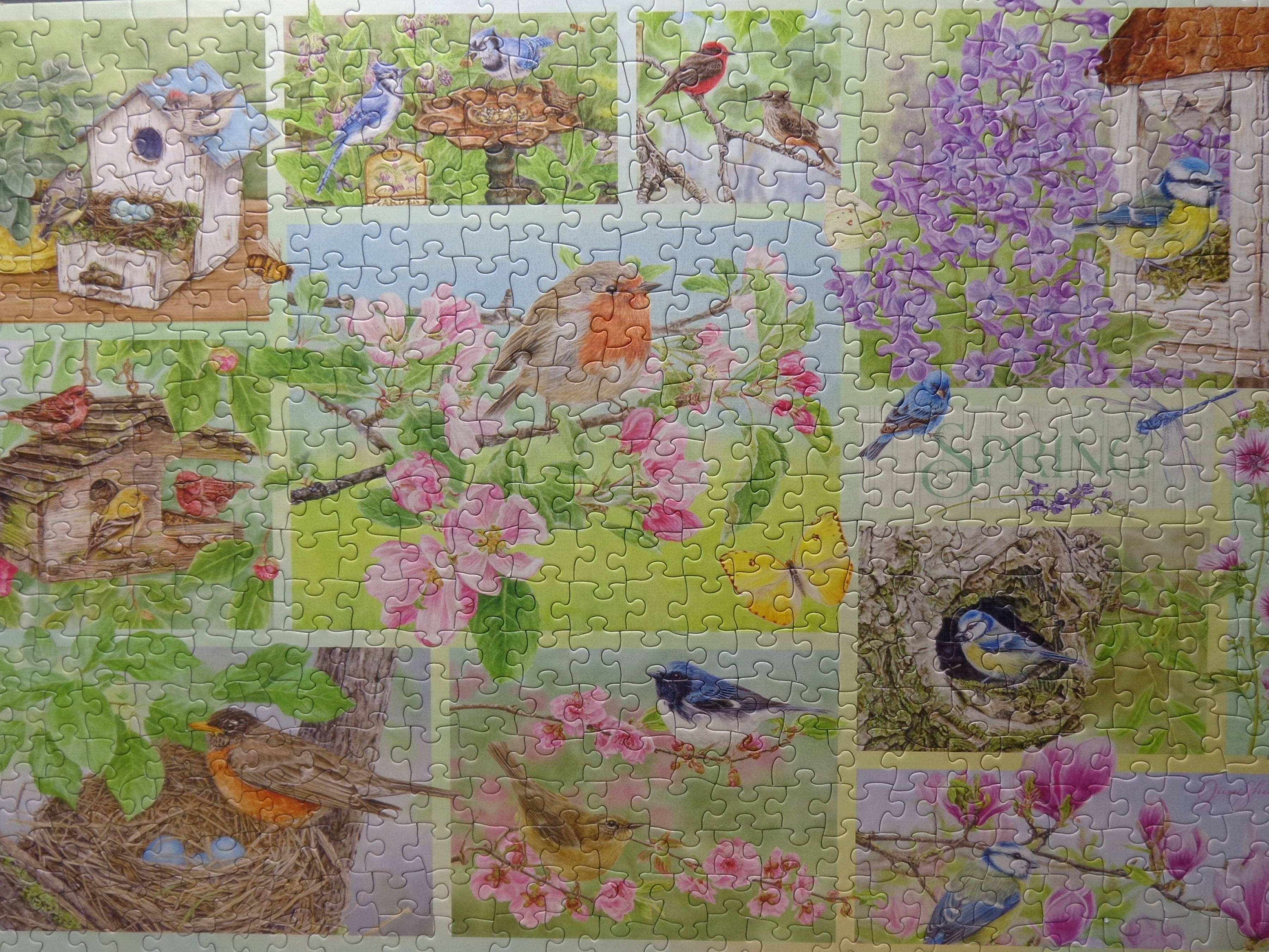 Springtime Wonders Celebrated with Garden Birds in Spring — Cobble Hill ...
