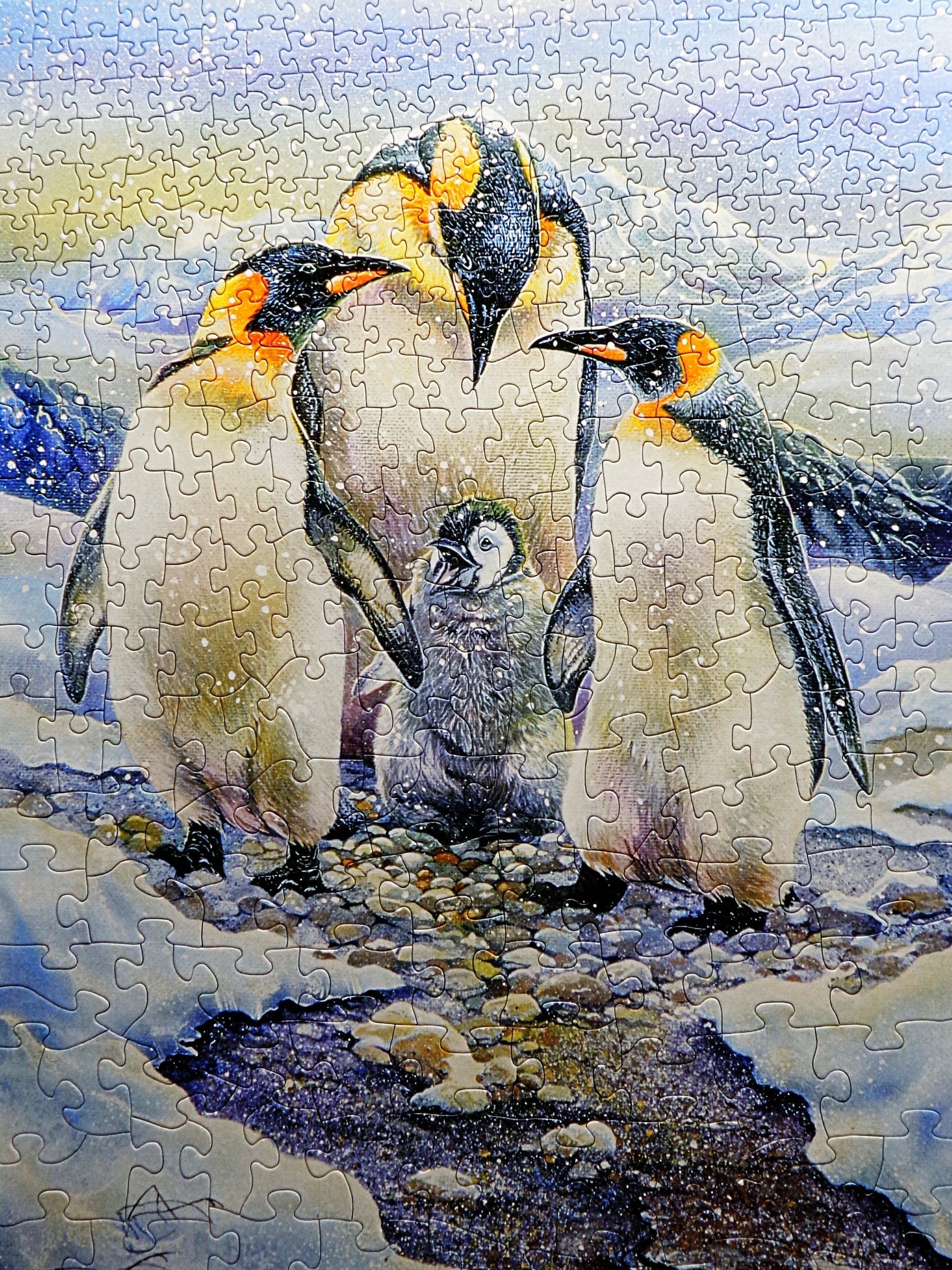 Picture Perfect Penguins in a Family Pieces Puzzle — Cobble Hill Puzzles