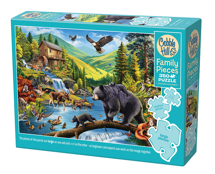 A Family Affair (Family) | Family Pieces 350 — Cobble Hill Puzzles