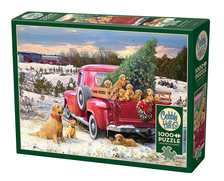 Family Outing 1000 piece jigsaw| 40029 |Cobble Hill Puzzles Official ...