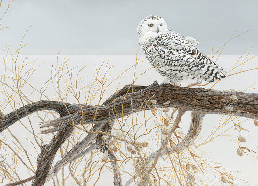 Robert Bateman — Cobble Hill Puzzles